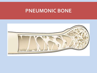 3.1 Poultry Production in Agriculture.ppt