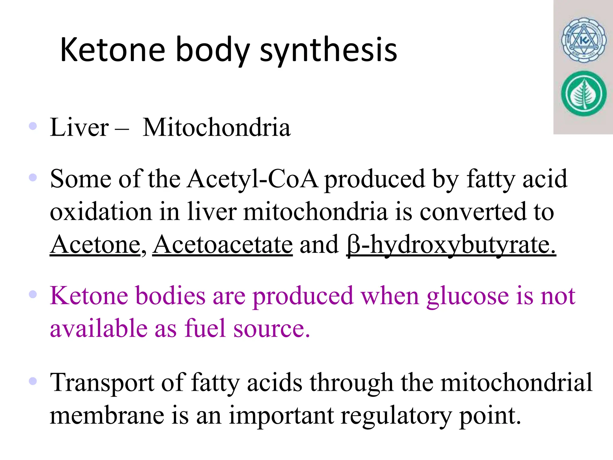 KETONE BODY METABOLISM. FOR MBBS, BDS, LABORATORY MEDICINE pptx | PPTX