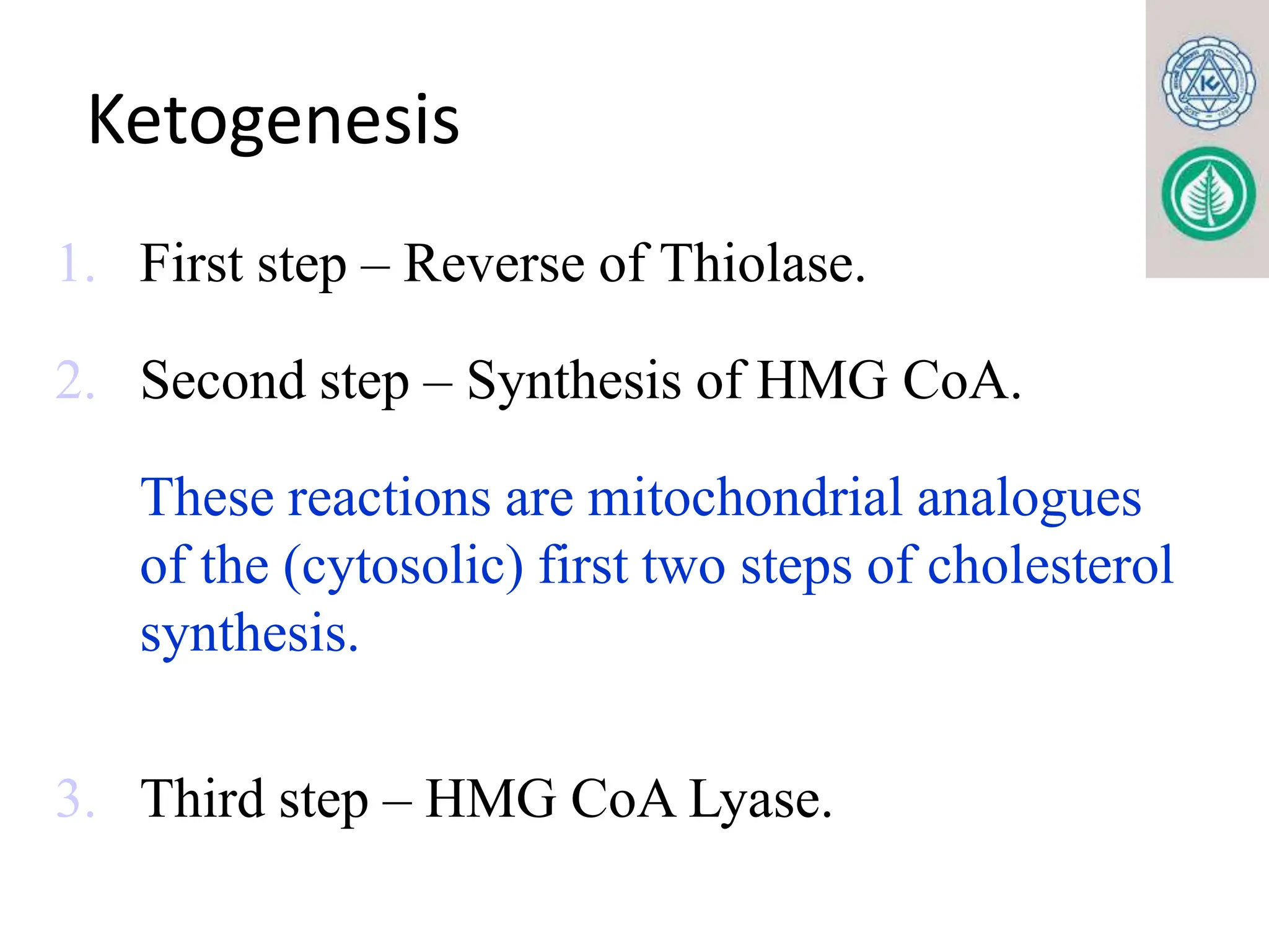 KETONE BODY METABOLISM. FOR MBBS, BDS, LABORATORY MEDICINE pptx | PPTX