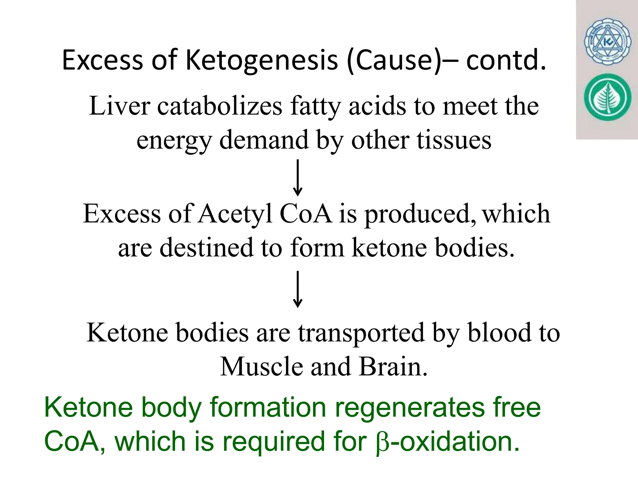 KETONE BODY METABOLISM. FOR MBBS, BDS, LABORATORY MEDICINE pptx | PPTX