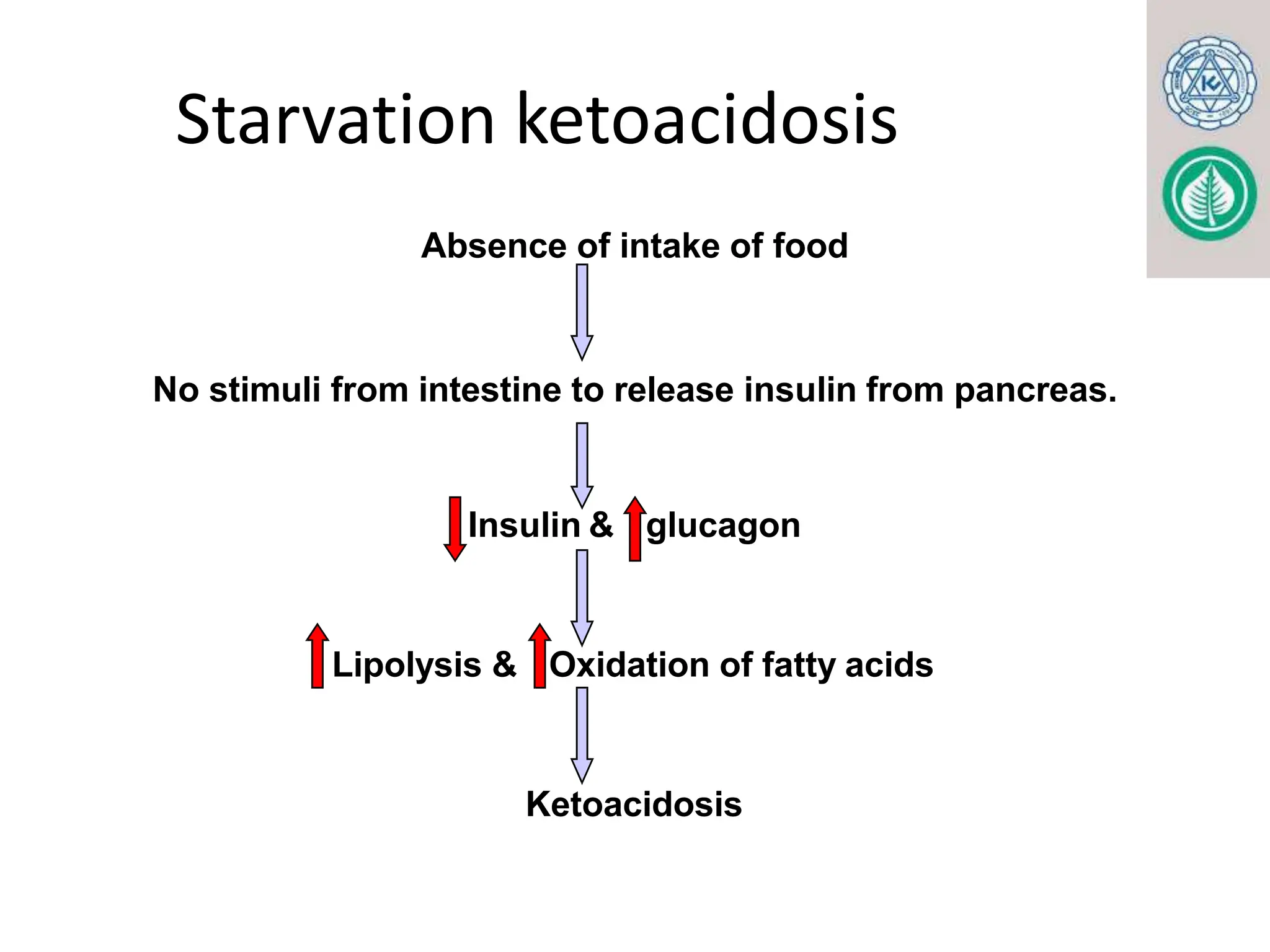 KETONE BODY METABOLISM. FOR MBBS, BDS, LABORATORY MEDICINE pptx | PPTX