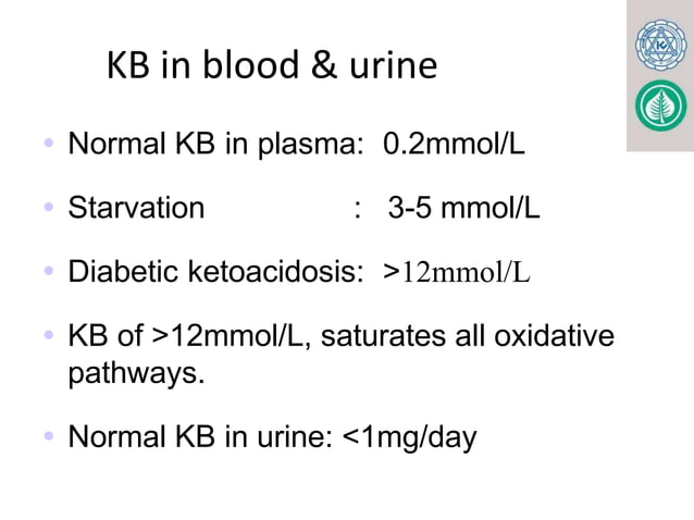 KETONE BODY METABOLISM. FOR MBBS, BDS, LABORATORY MEDICINE pptx | PPTX | Endocrine and Metabolic ...