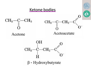 KETONE BODY METABOLISM. FOR MBBS, BDS, LABORATORY MEDICINE pptx | PPTX