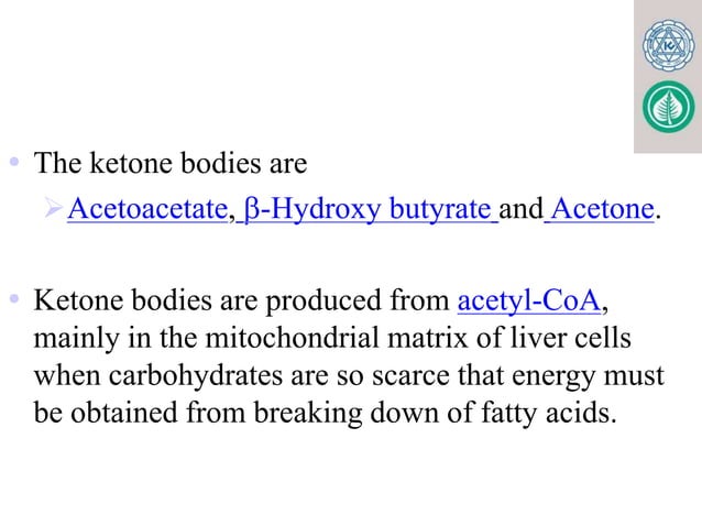 KETONE BODY METABOLISM. FOR MBBS, BDS, LABORATORY MEDICINE pptx | PPTX ...