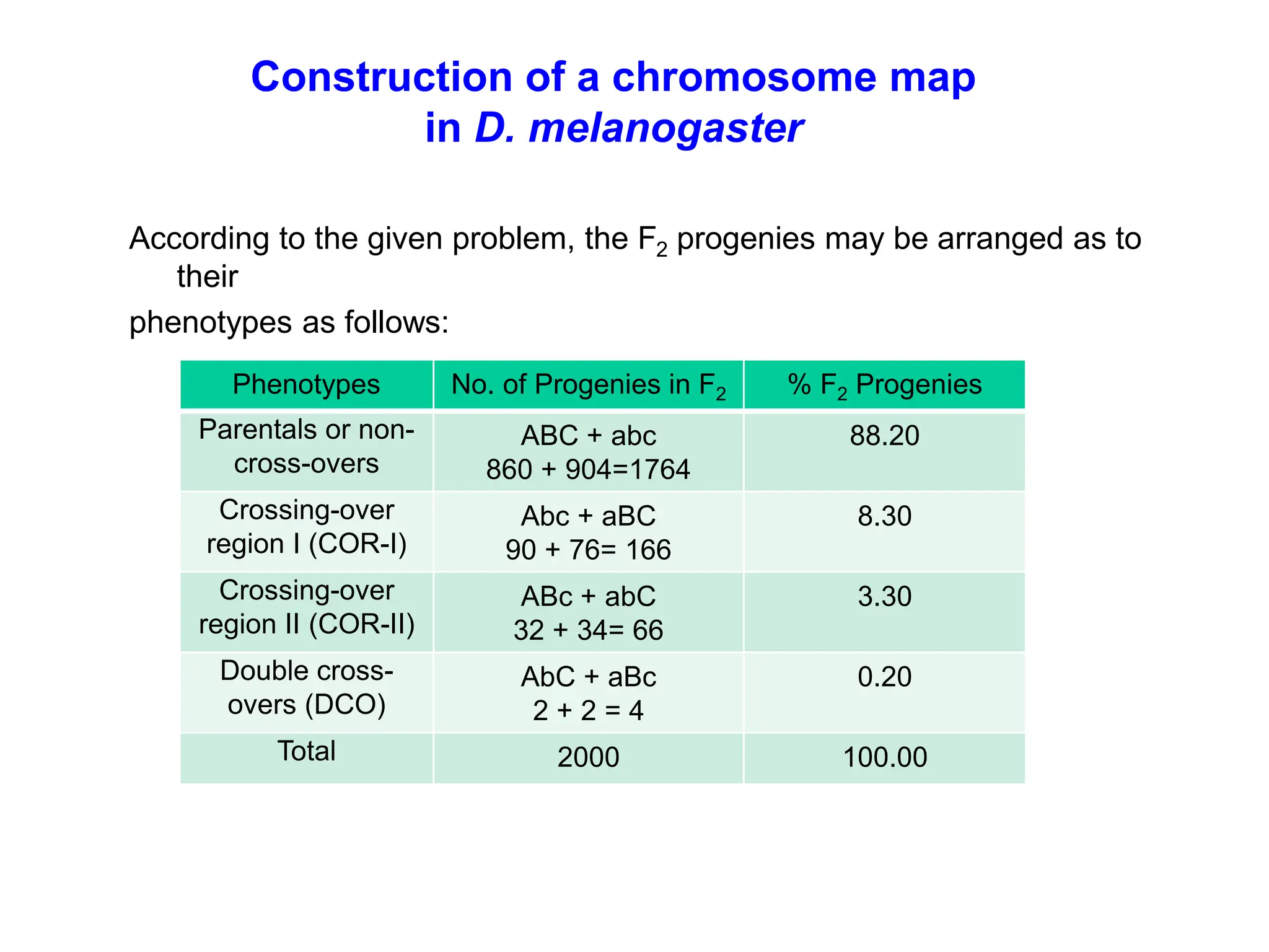 3. Chromosome Mapping in Drosophila flies | PPT
