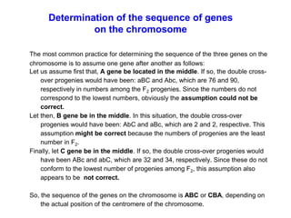 3. Chromosome Mapping in Drosophila flies | PPT