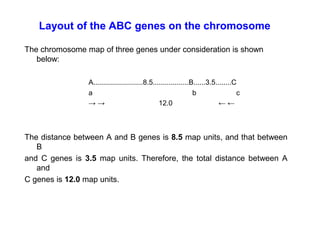 3. Chromosome Mapping in Drosophila flies | PPT