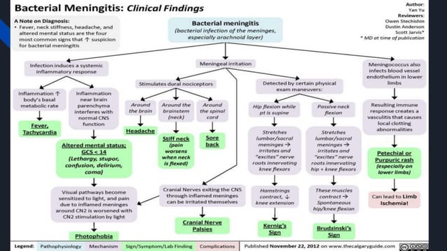 Pathogenesis of Meningitis and Microbiology of Organisms | PPTX