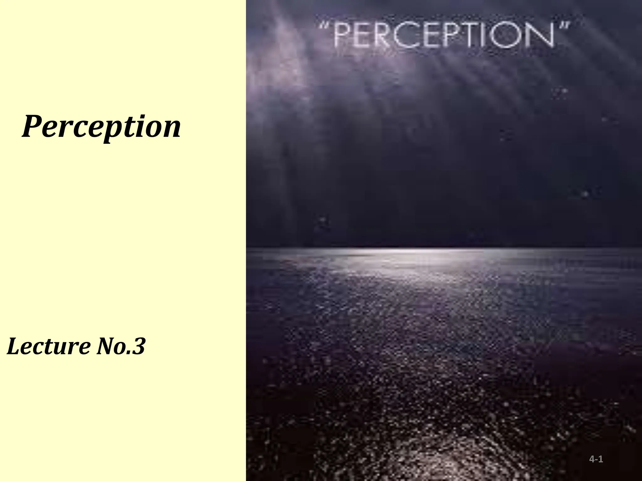 3. Lecture Perception.ppt now your possible | PPT