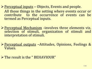 3. Lecture Perception.ppt now your possible | PPT