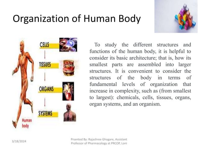 Levels of Structural organization,fundamental levels of organization,To ...