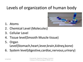 Levels of Structural organization,fundamental levels of organization,To ...