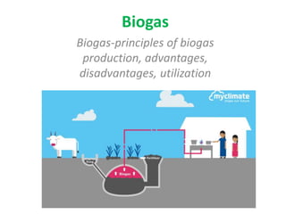 Biogass ppt of renewable energy and green technology | PPTX | Chemistry ...