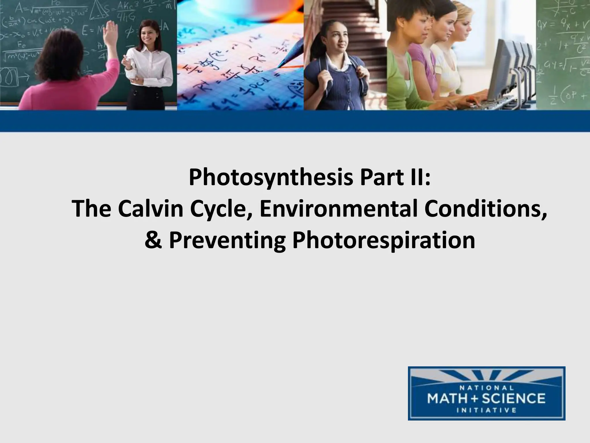 Photosynthesis Calvin Cycle Light Independent Reactions | PPTX