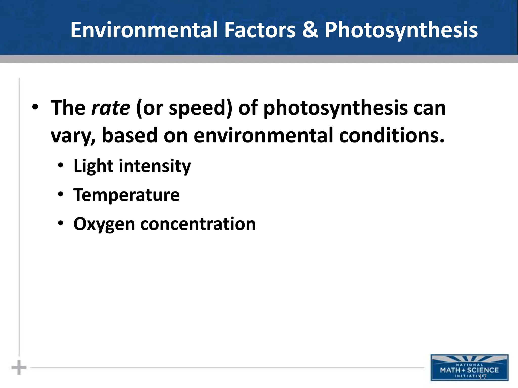 Photosynthesis Calvin Cycle Light Independent Reactions | PPTX