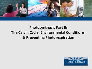 Photosynthesis Calvin Cycle Light Independent Reactions | PPTX