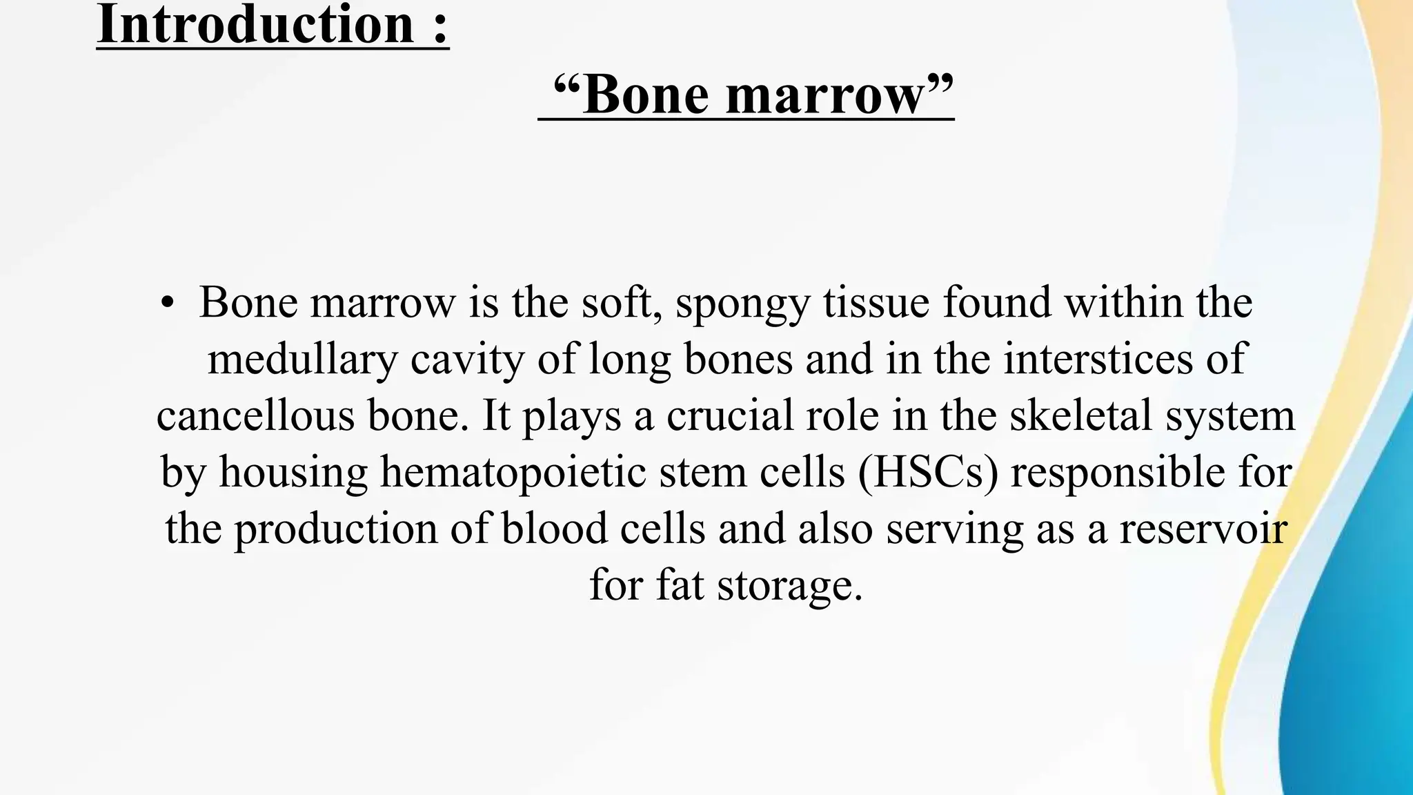 Exploring Bone Marrow: Composition, Functions, and Clinical Insights | PPTX