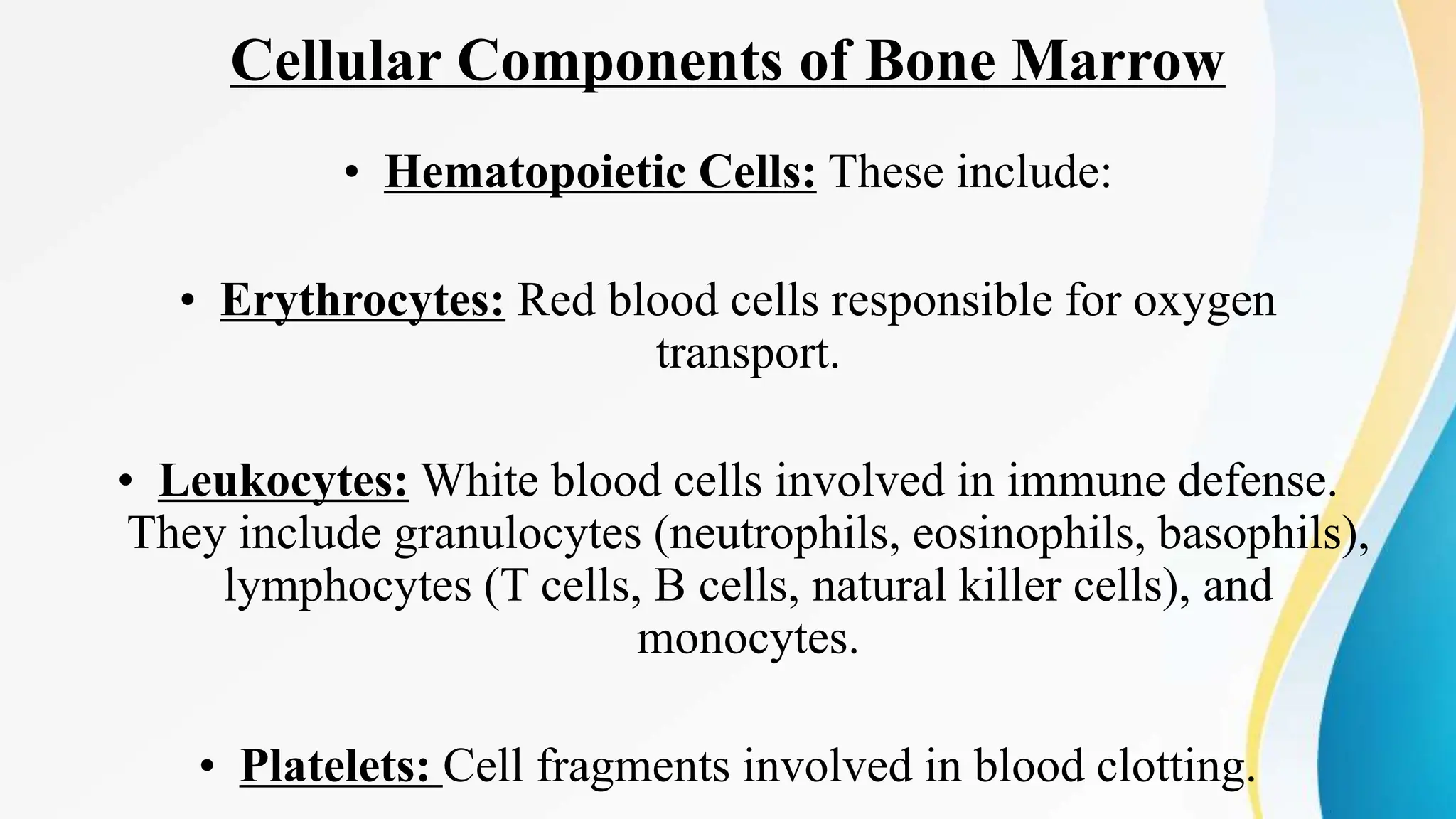 Exploring Bone Marrow: Composition, Functions, and Clinical Insights | PPTX
