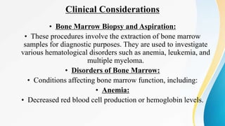 Exploring Bone Marrow: Composition, Functions, and Clinical Insights | PPTX