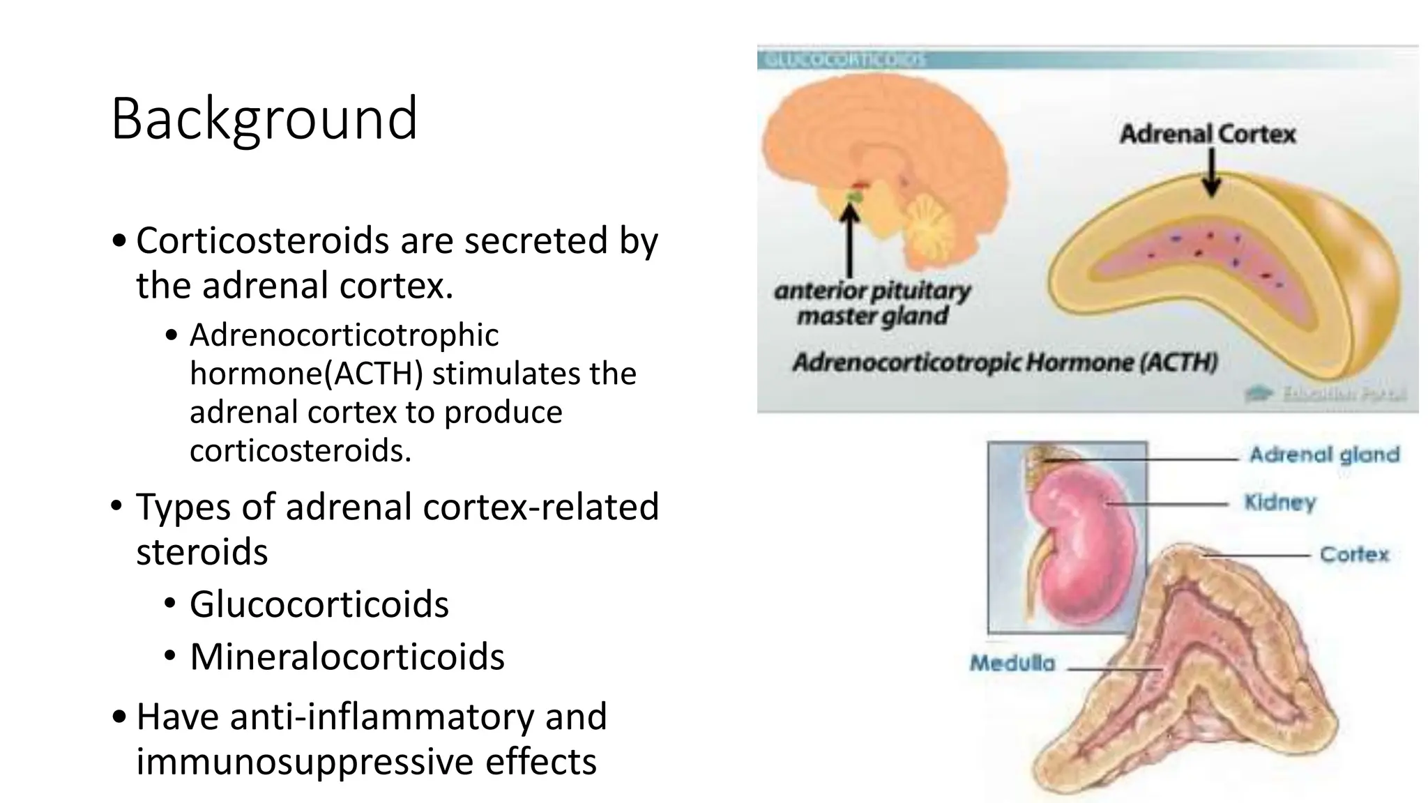 Ocular steroids-Dexamethasone, Betamethasone, Prednisolone and ...