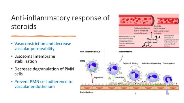 Ocular steroids-Dexamethasone, Betamethasone, Prednisolone and ...