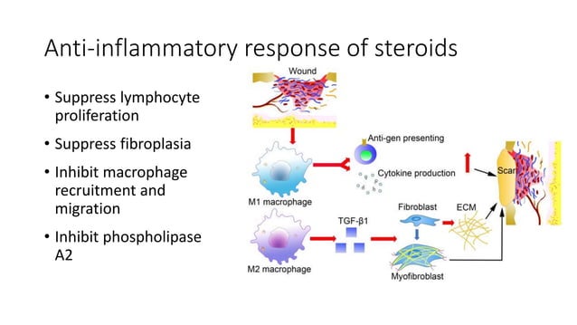 Ocular steroids-Dexamethasone, Betamethasone, Prednisolone and ...