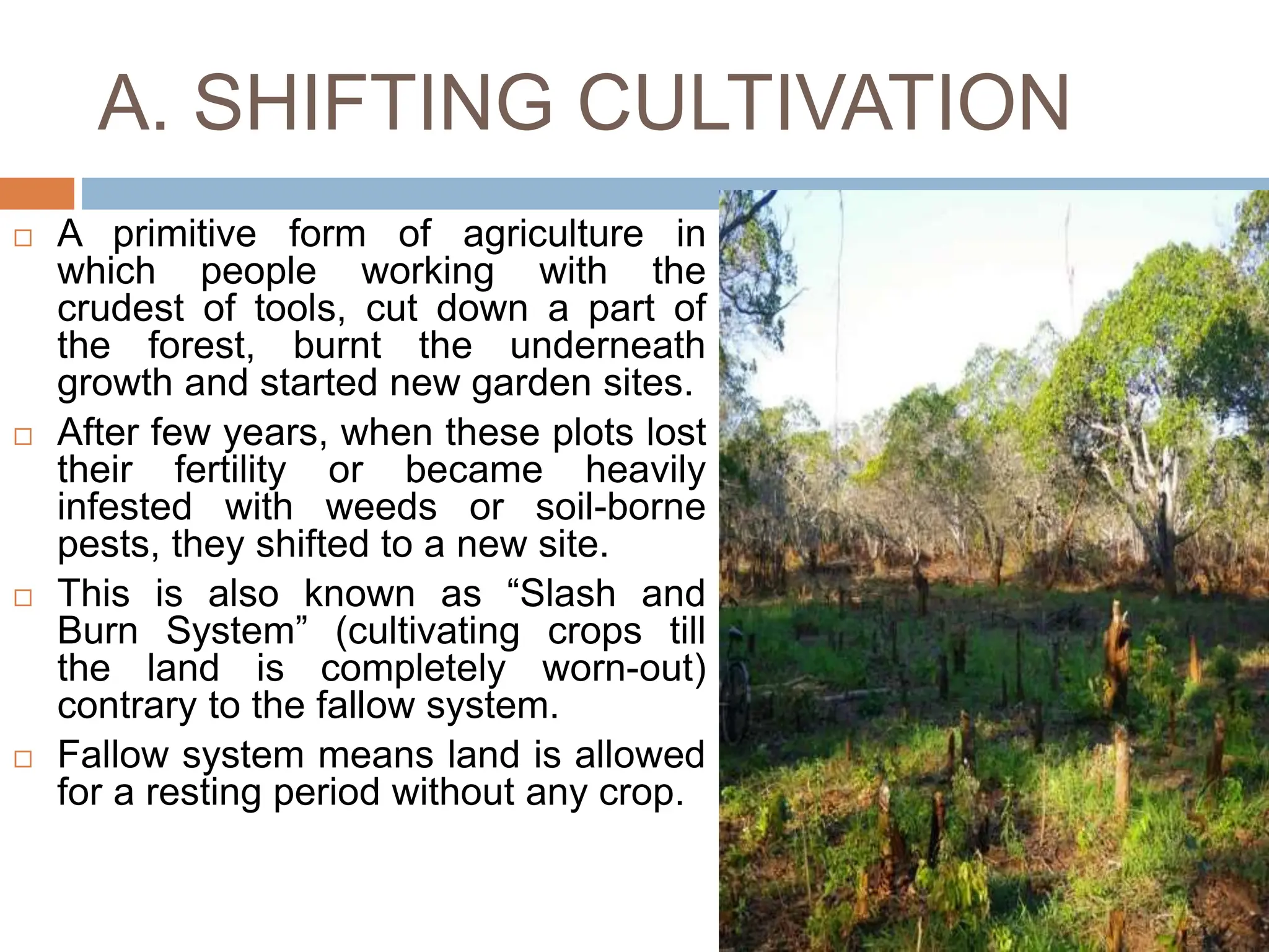 ORIGIN-HISTORY-AND-DEVELOPMENT-OF-AGRICULTURE.pptx