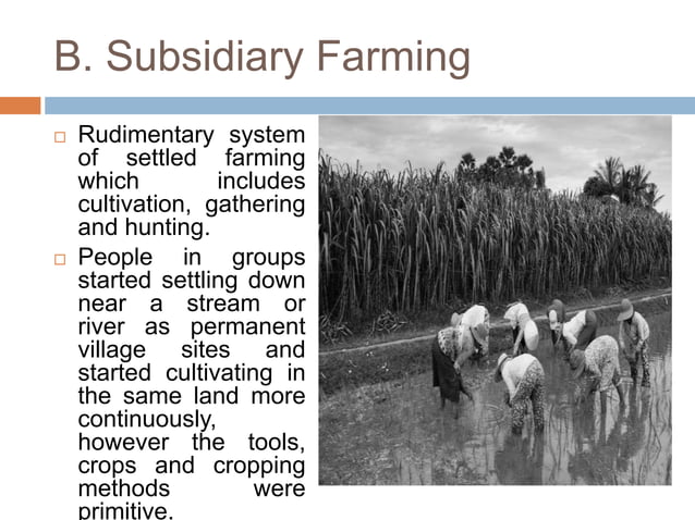 ORIGIN-HISTORY-AND-DEVELOPMENT-OF-AGRICULTURE.pptx | Agriculture ...
