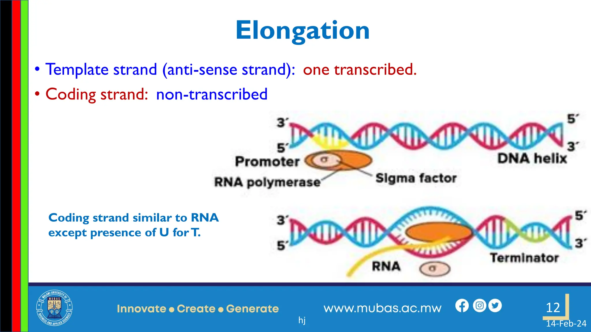 3. Transcription in Prokaryotes and Eukaryotes.pdf
