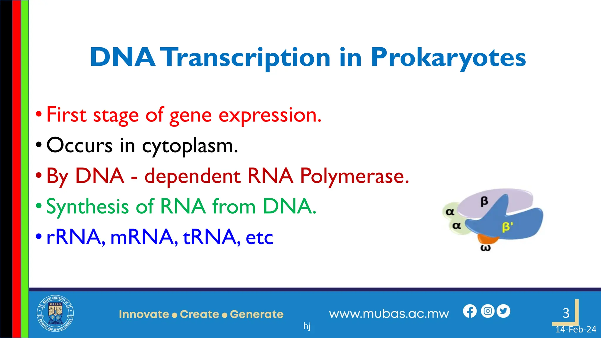 3. Transcription in Prokaryotes and Eukaryotes.pdf