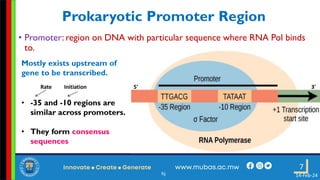3. Transcription in Prokaryotes and Eukaryotes.pdf