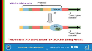 3. Transcription in Prokaryotes and Eukaryotes.pdf