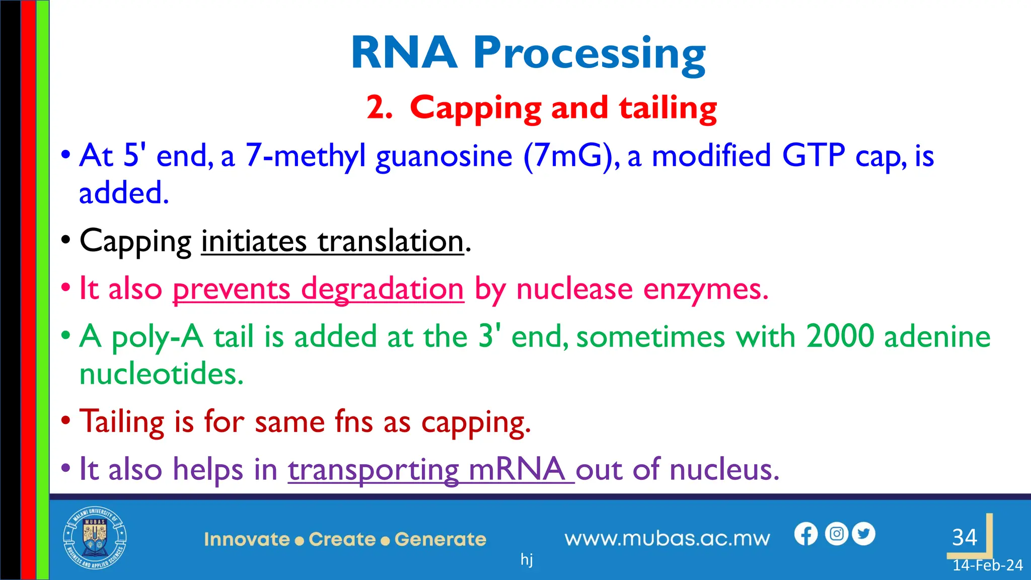 3. Transcription in Prokaryotes and Eukaryotes.pdf