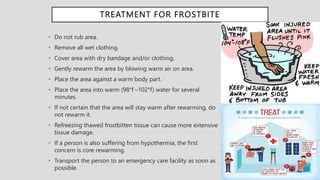 3.Environmental Emergencies 1.ppeknrvlnwvlenvltx | PPTX