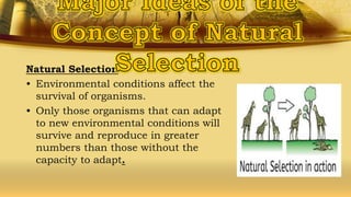 3.6 Evolution.pptx Evolution of Organisms | PPTX