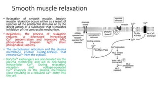 3.Smooth muscle contraction.pdfsgsgdgfdgh | PPT