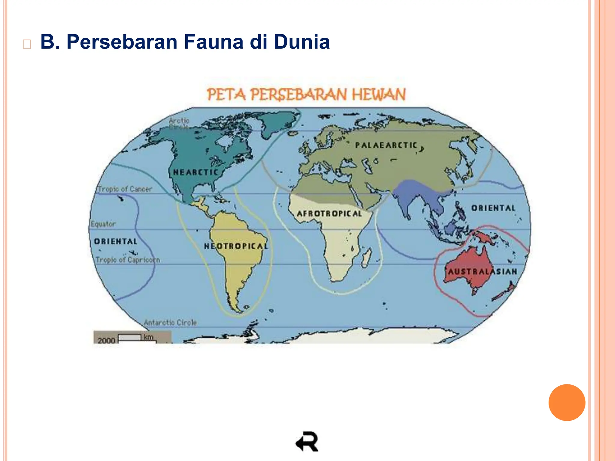 3. Sebaran Flora dan Fauna di dunia.pptx