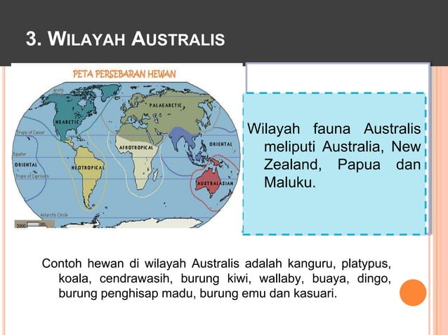 3. Sebaran Flora dan Fauna di dunia.pptx