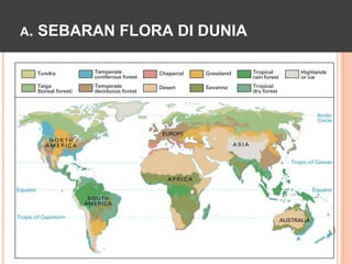 3. Sebaran Flora dan Fauna di dunia.pptx