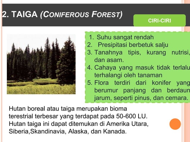 3. Sebaran Flora dan Fauna di dunia.pptx