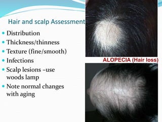 3.Skin, Hair & Nail Assessment.ppt Nursing | PPT