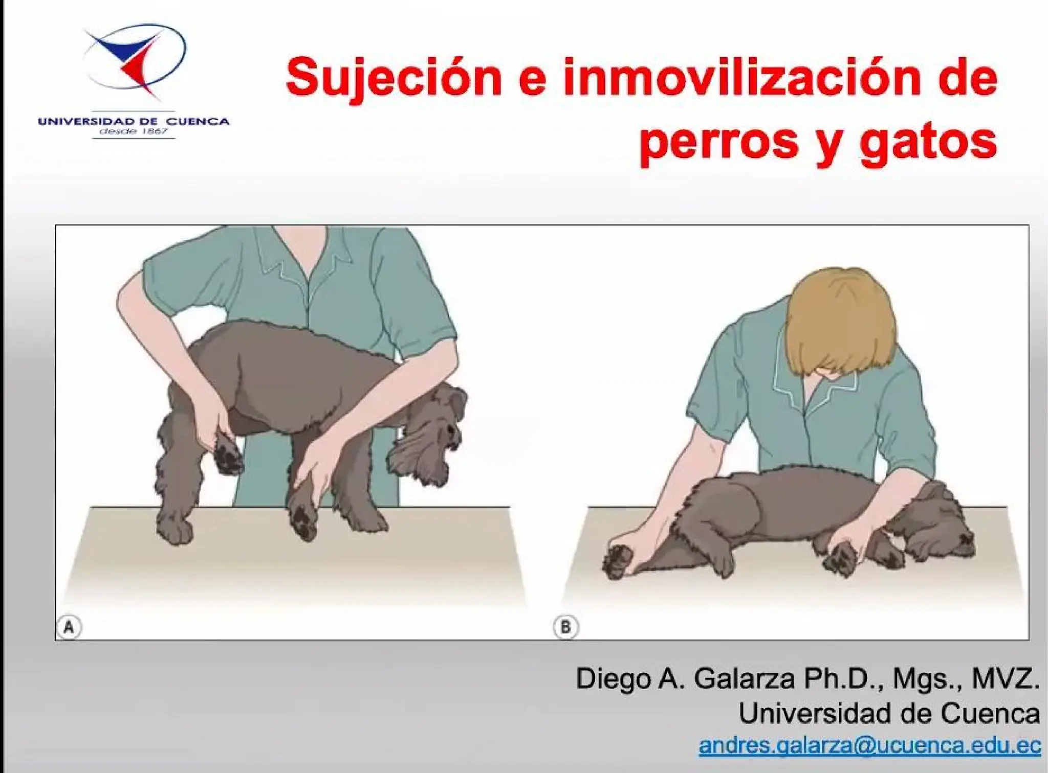 Sujeción e inmobilización de perros y gatos (1).pdf