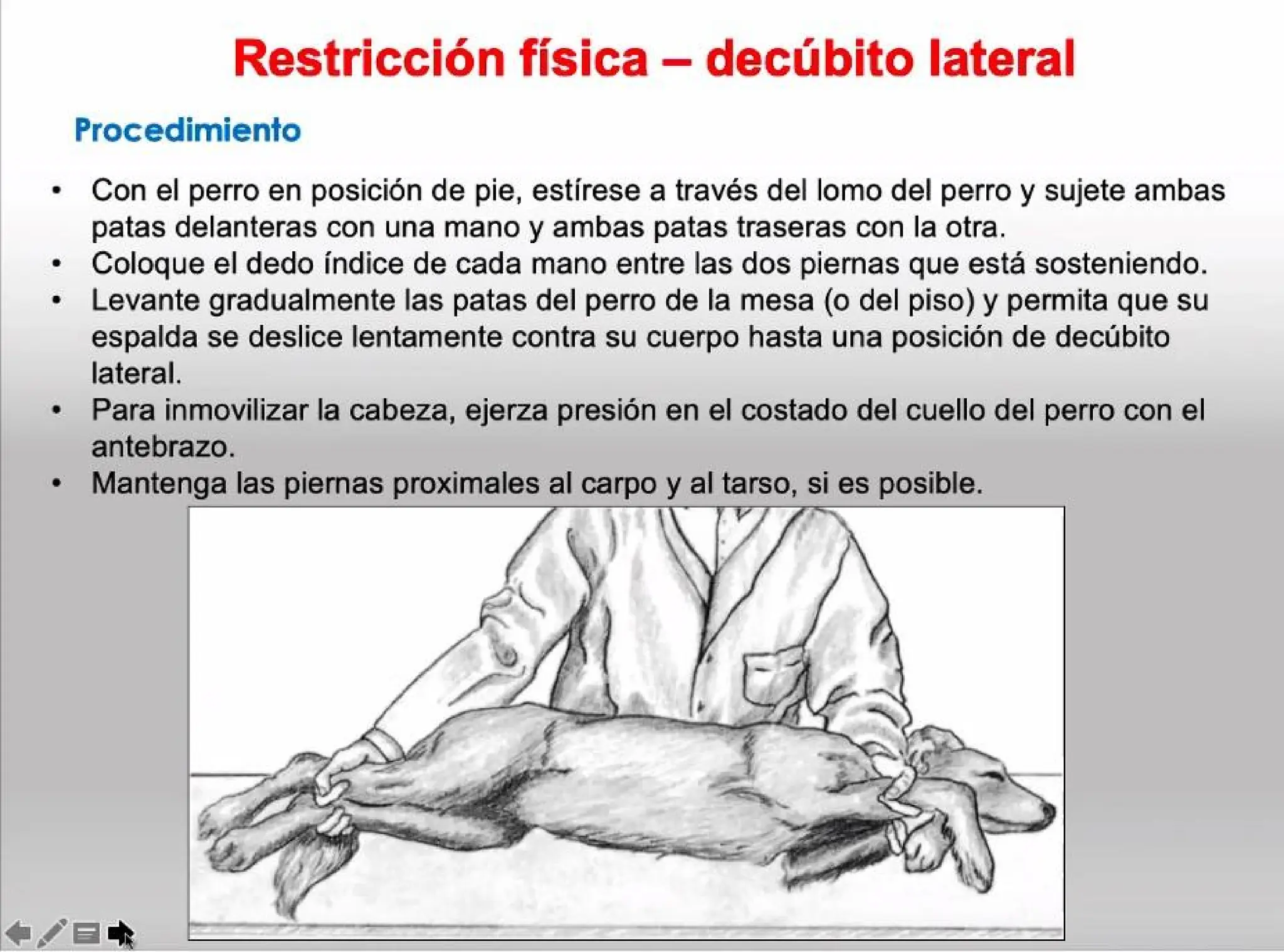 Sujeción e inmobilización de perros y gatos (1).pdf