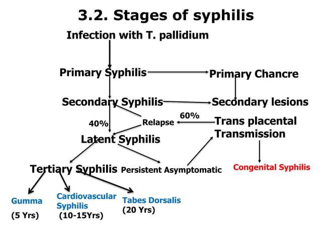 Syphilis Serology serological test for medical laboratory.ppt