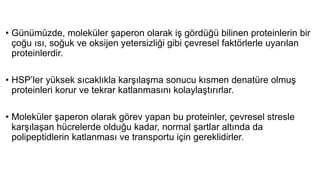 PROTEİN KATLANMASI VE İŞLENMESİ /protein | PPT