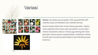 3.B.Hubungan antara Variasi BIOLOGI.pptx