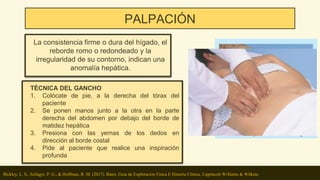 3. Abordaje de paciente con hepatomegalia.pptx