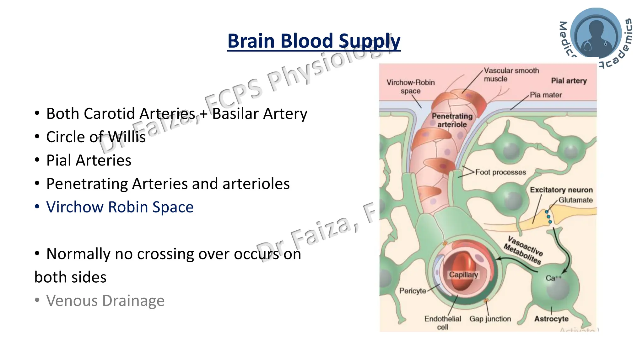 Cerebral circulation with its regulation & Brain metabolism | PDF
