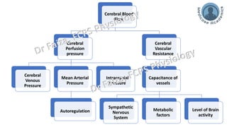 Cerebral circulation with its regulation & Brain metabolism | PDF