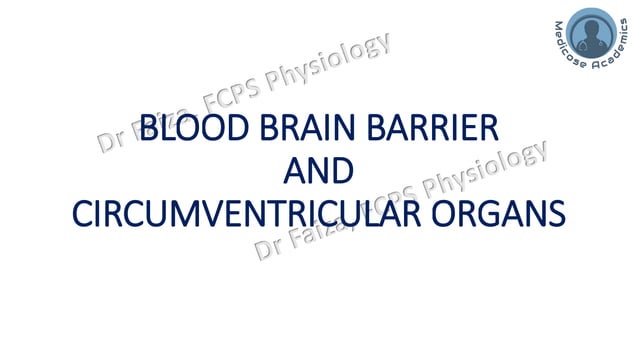 Cerebral circulation with its regulation & Brain metabolism | PDF